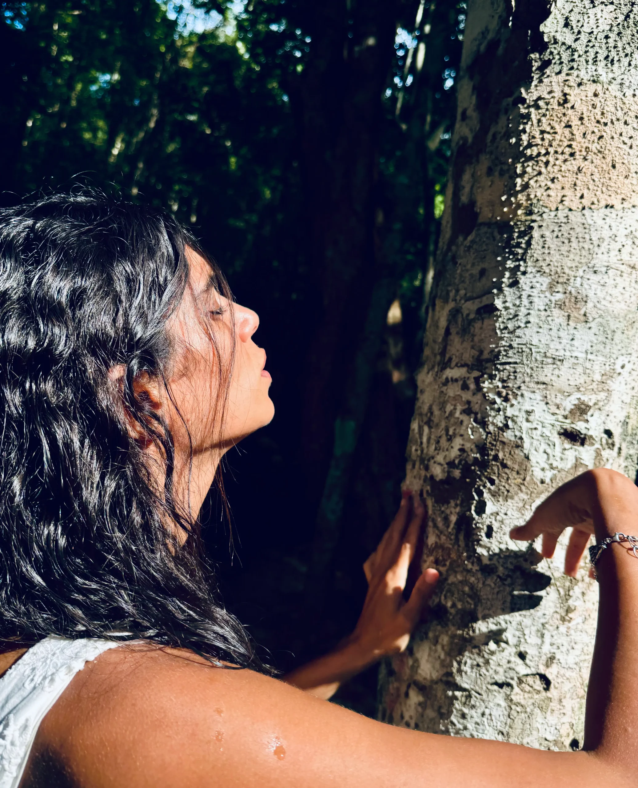 The Connection Between Trees and Humanity